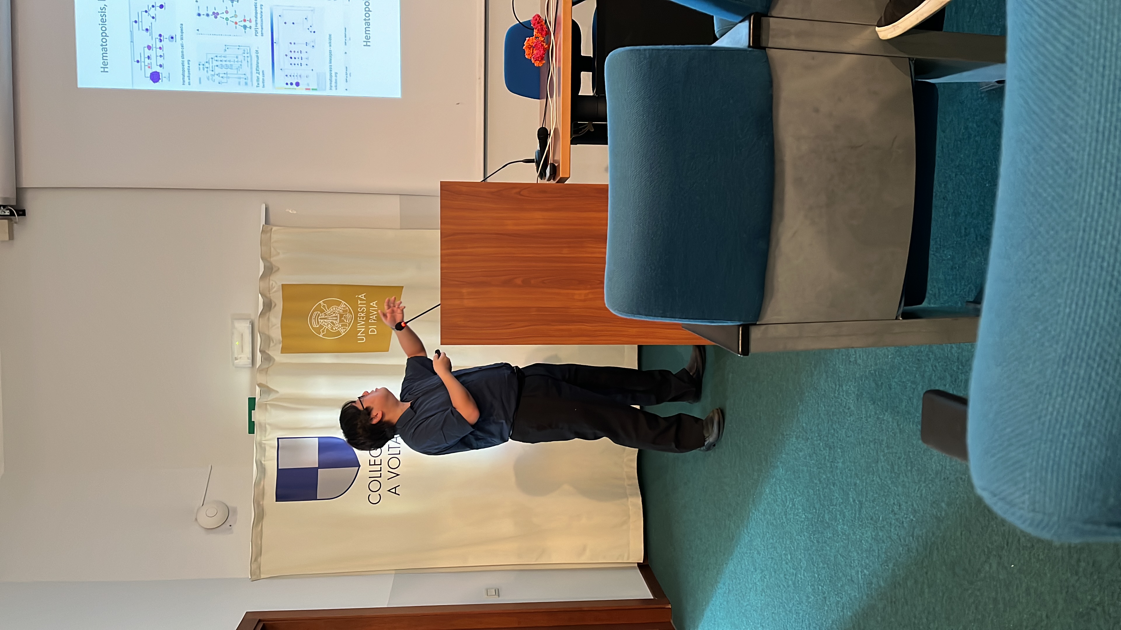 Risultati della ricerca | Kiro